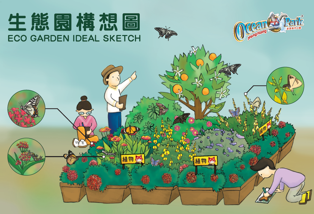 Eco Garden at School (Primary) Program | Conservation | Ocean Park Hong ...