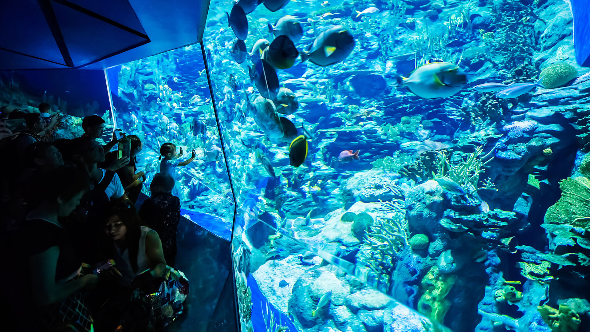 Ocean Park Animal Ambassadors Celebrate Halloween Fest in their Own ...