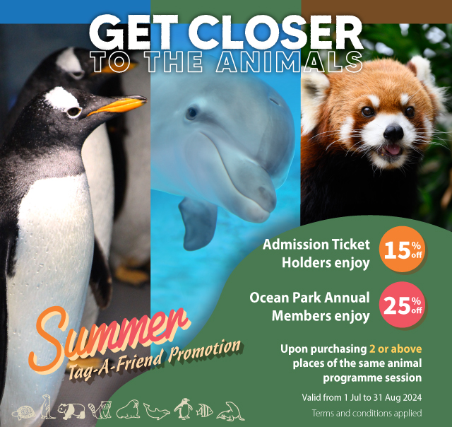 Hong Kong Best Theme Park & Attractions | Ocean Park Hong Kong